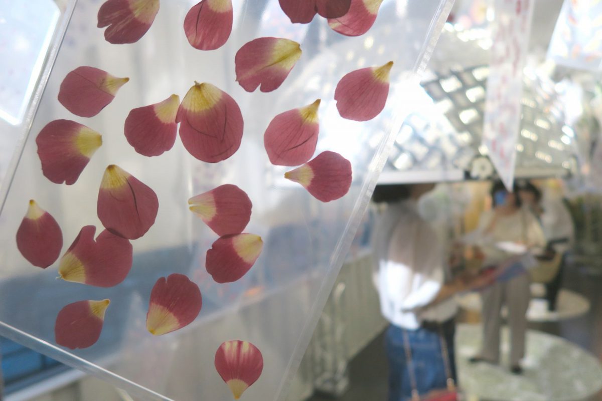 Singapore Inside Out | Mindscape × Each sound is a flower | plantica ...