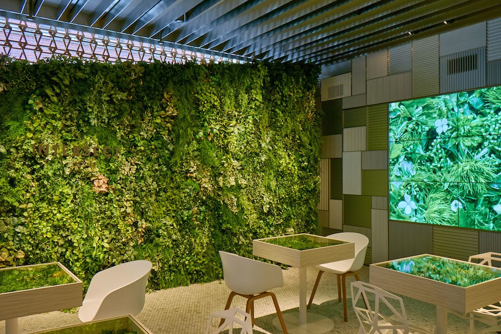 INTERSECT BY LEXUS – TOKYO | plantica（プランティカ） - フラワーアーティスト 木村貴史