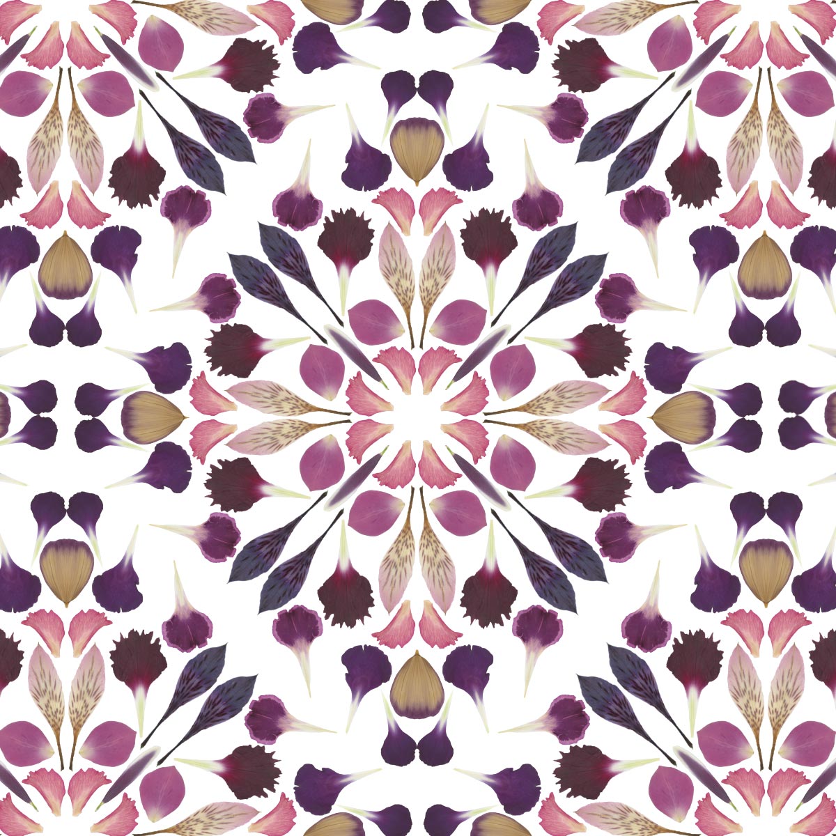 Arabesque – Departure 門出 | plantica（プランティカ） - フラワーアーティスト 木村貴史