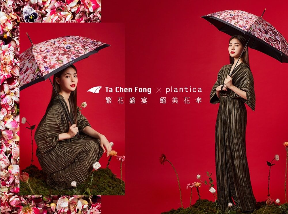 Ta Chen Fong x plantica | plantica（プランティカ） - フラワーアーティスト 木村貴史