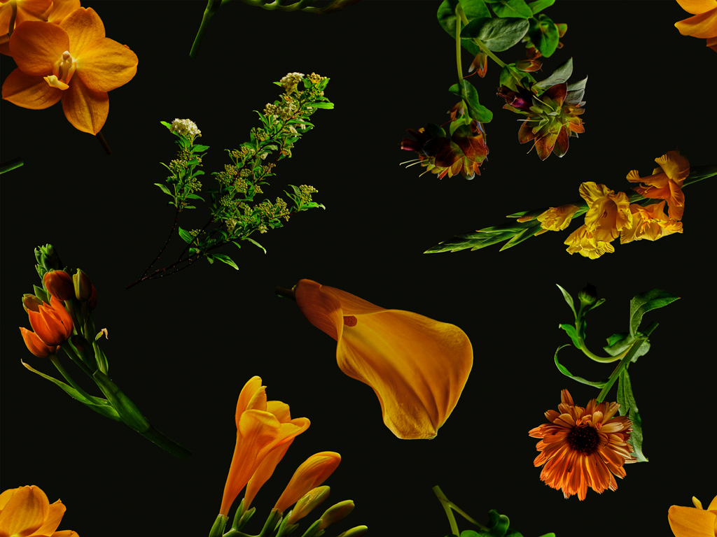 Midnight – Nightfall | plantica（プランティカ） - フラワーアーティスト 木村貴史