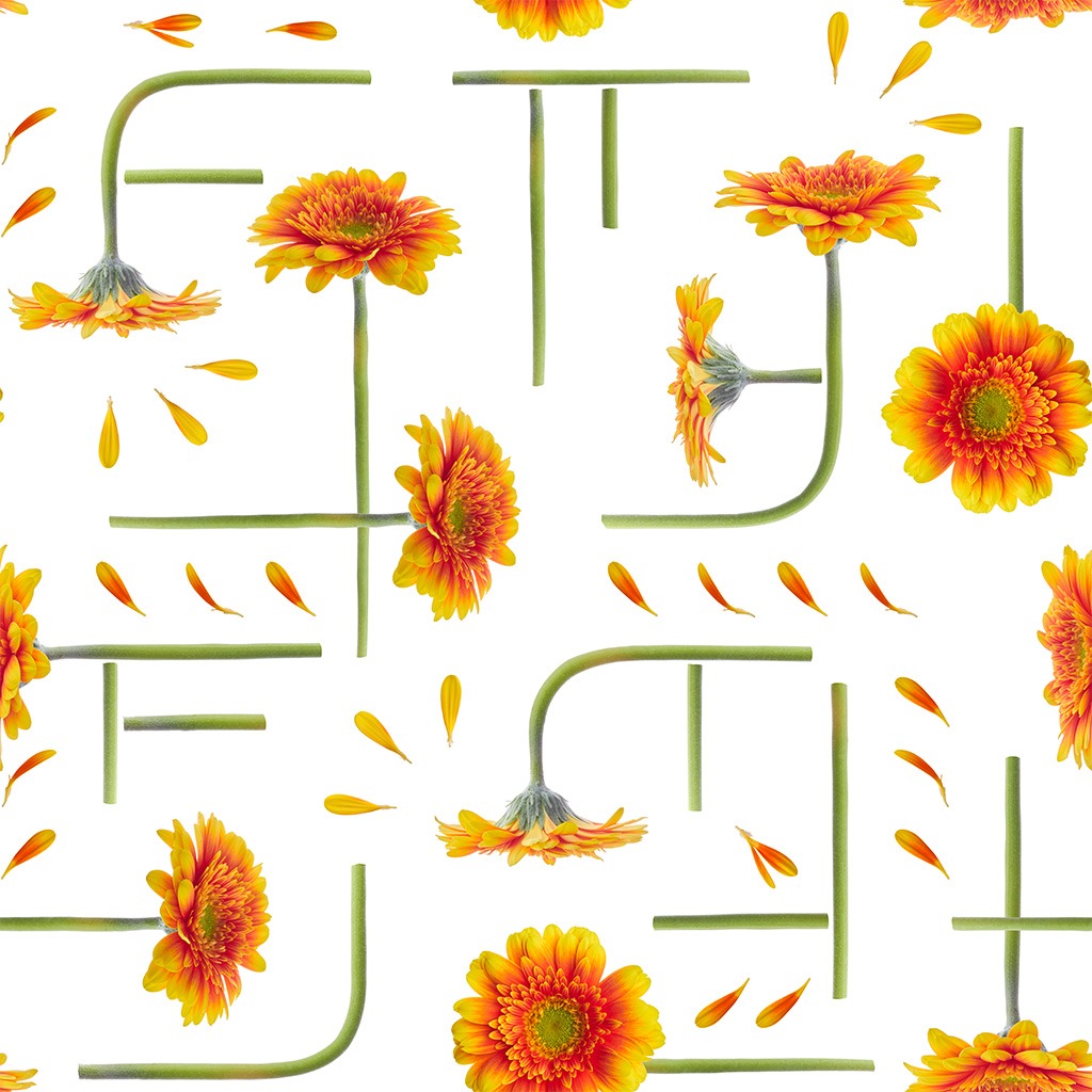 Draw – Tangerine Structure | plantica（プランティカ） - フラワーアーティスト 木村貴史