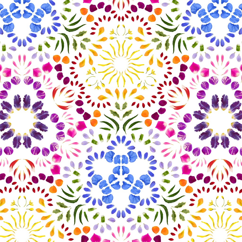 Rainbow-03 | plantica | Florist Takashi Kimura